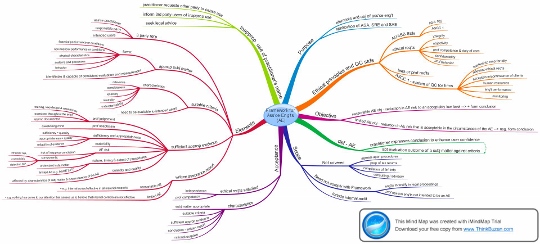 Pinoy Accountant's Journey: Framework for Assurance Engagements Mind Map