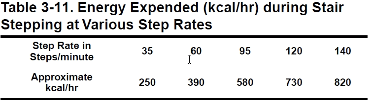 The most powerful ways: Stair Steppers
