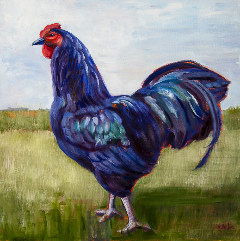 Patricia Uchello: Art, Travel, Food: Rooster Up For Adoption: Big Blue