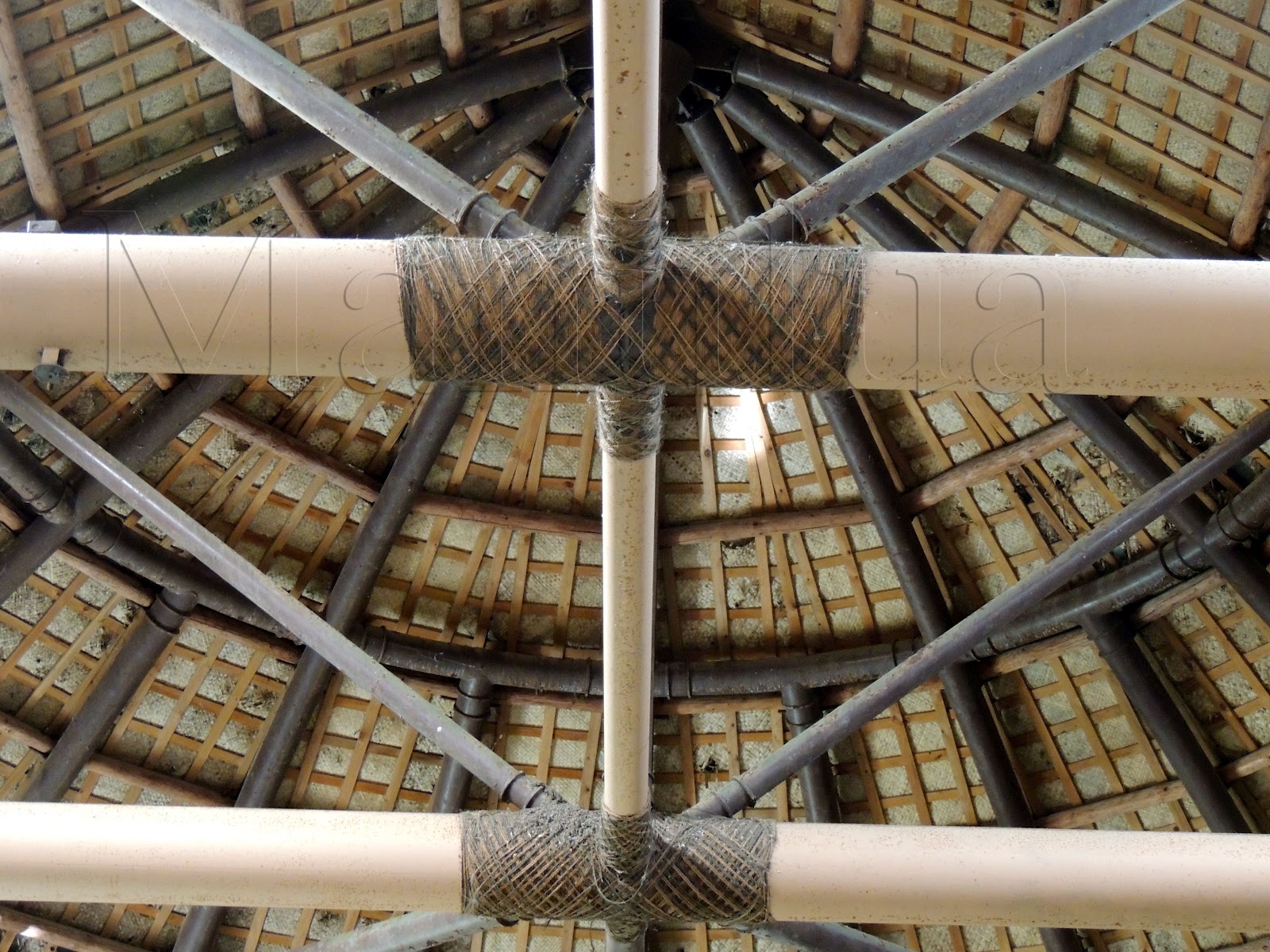 Tatatau - Traditional Tongan Tattoo - Ta Vaka