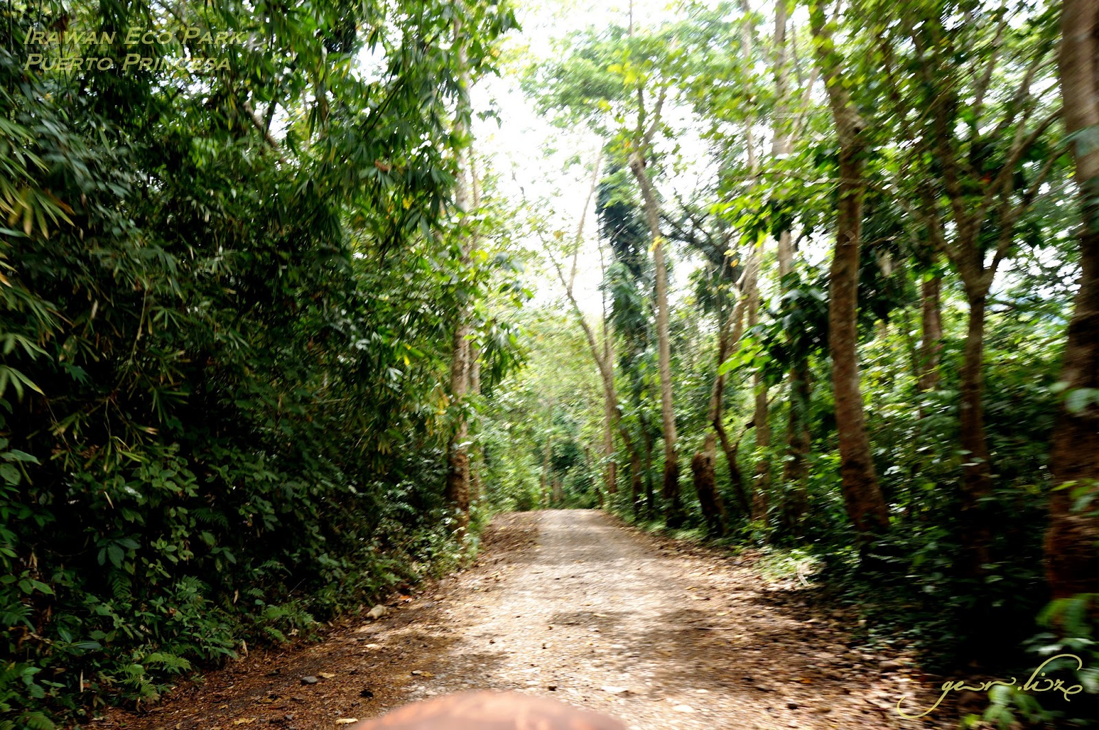 Irawan Eco Park [Puerto Princesa 2013] | Trips... by Liz