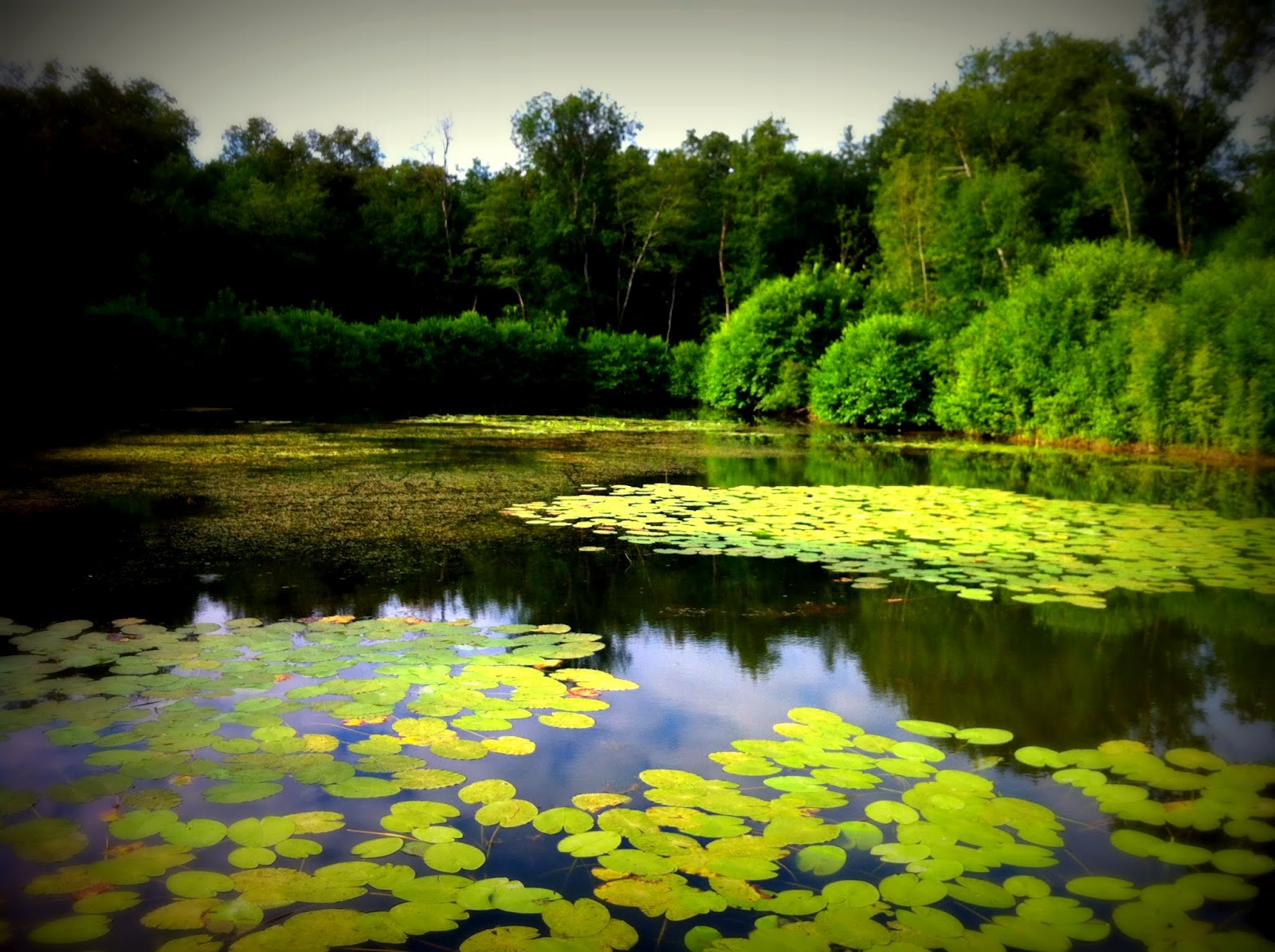 Activités Cyclo Route: Les Avenières - Circuit 75 km - D+ 722 m