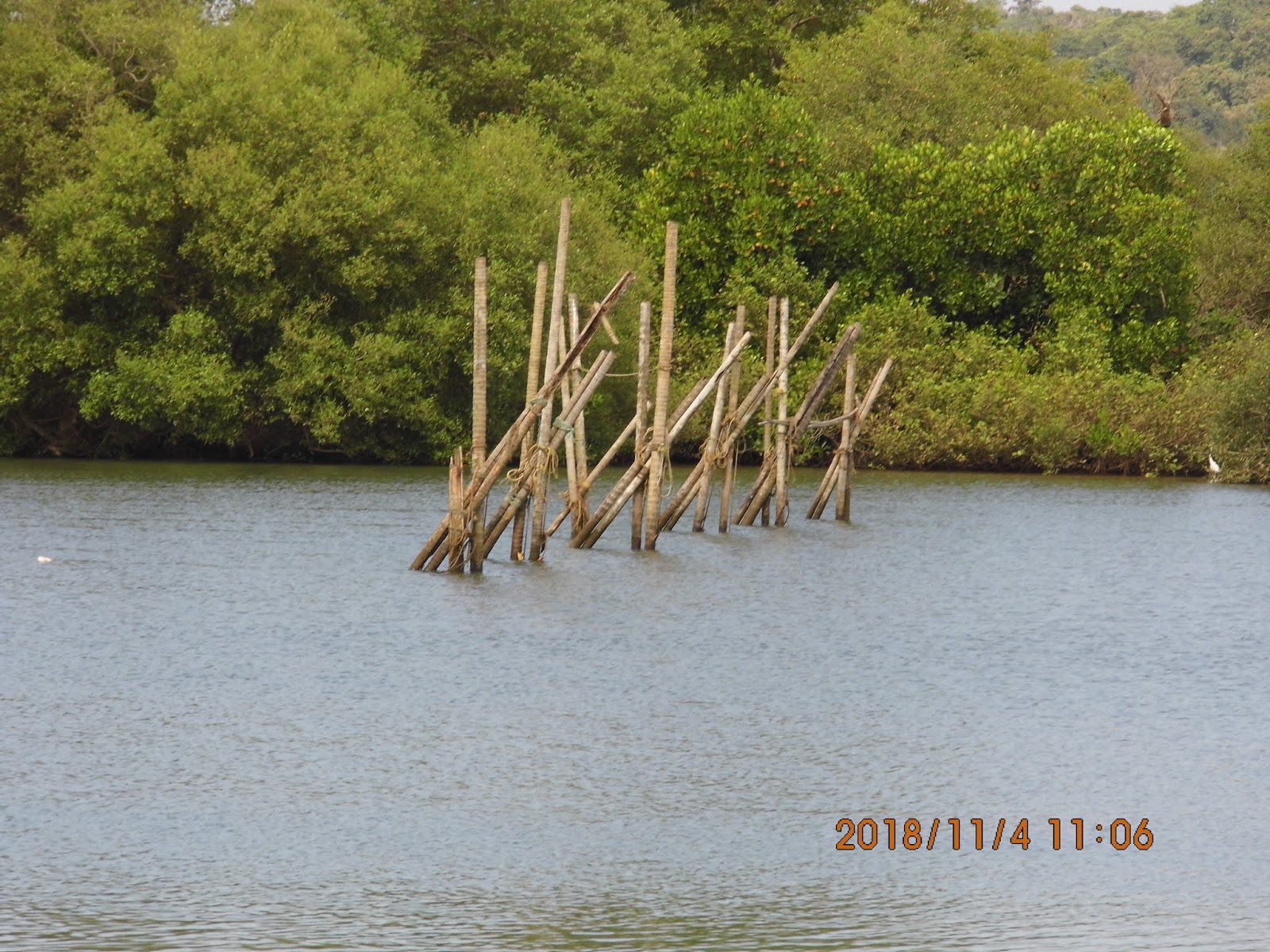 Telescópio: Mapusa river cruise, Goa, India