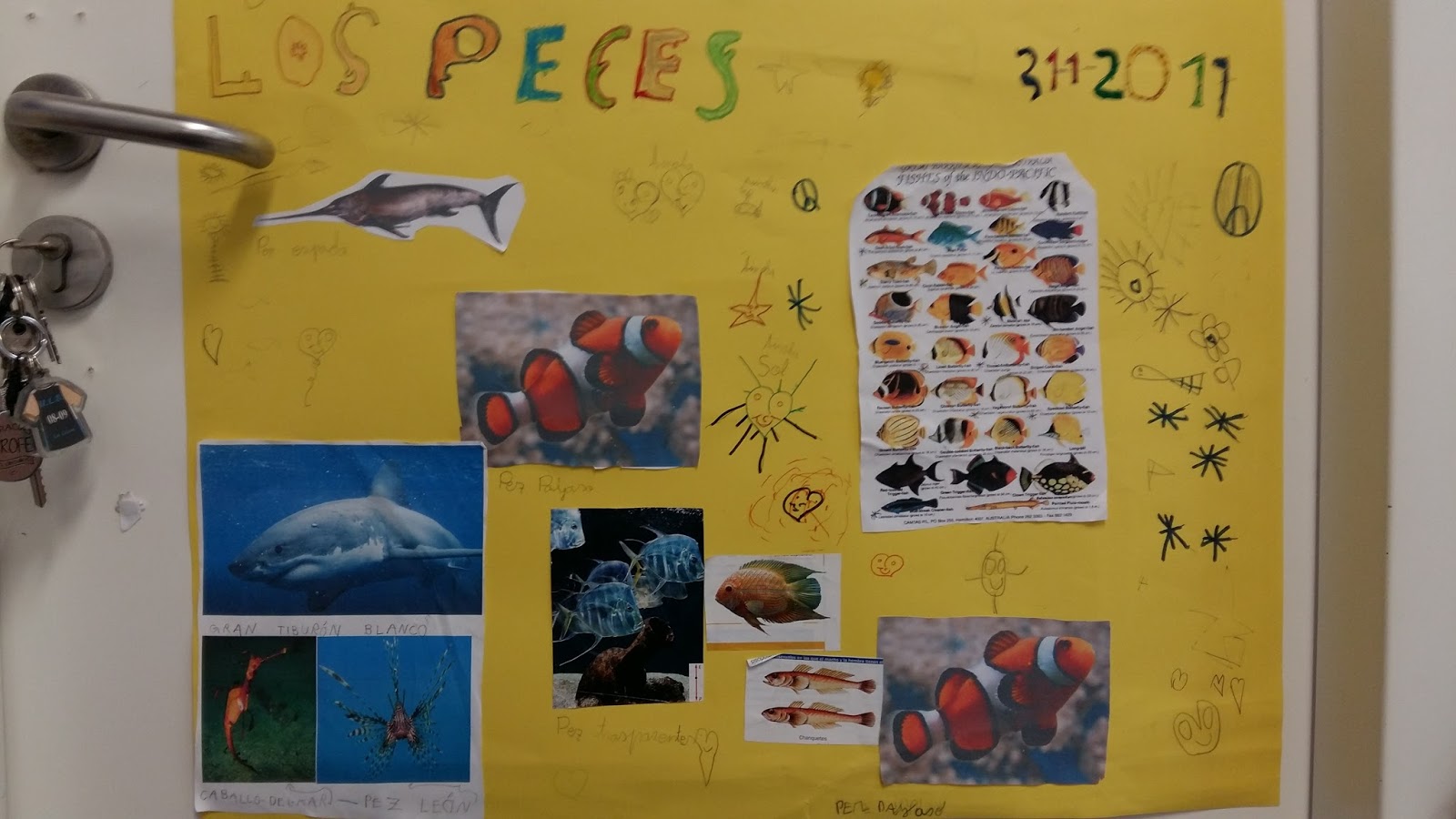 La ventanita de 4º B: Geniales murales de animales