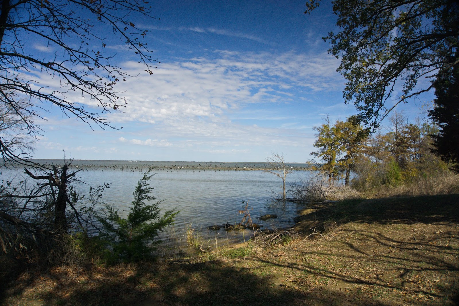 Tom & JoAnn's Memories: Cooper Lake State Park, TX