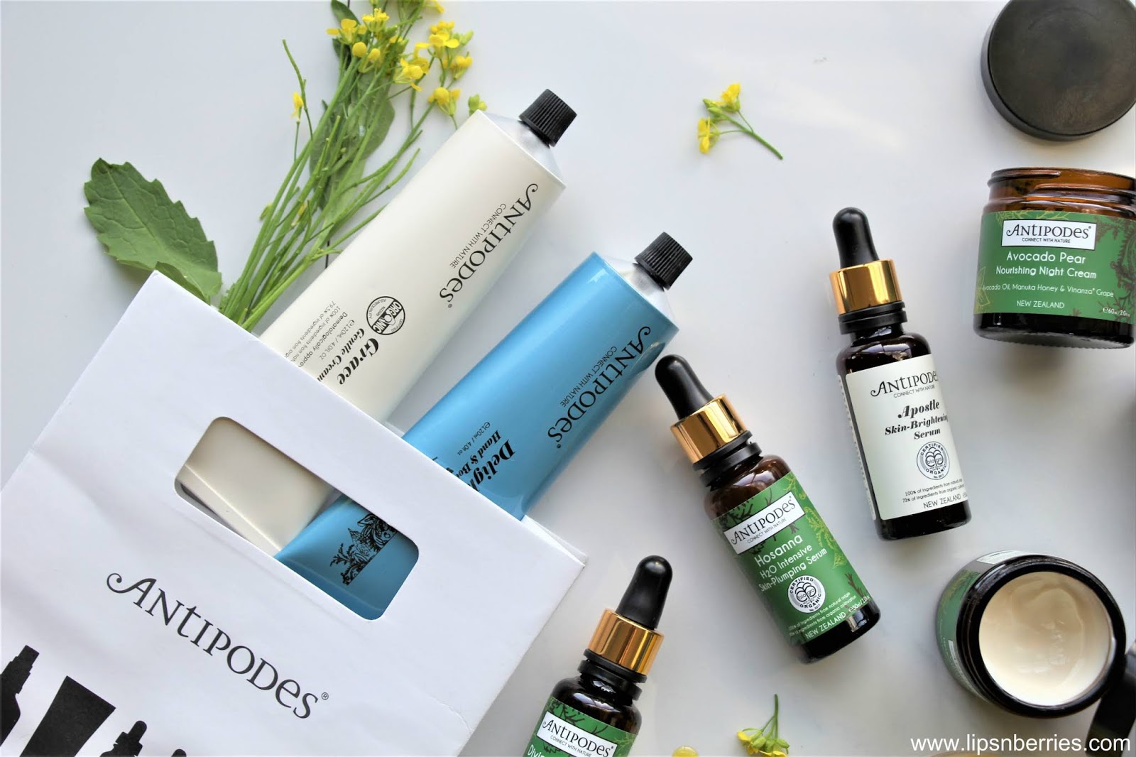 Antipodes Skincare Review- Dry Skin Edition | LIPS n BERRIES