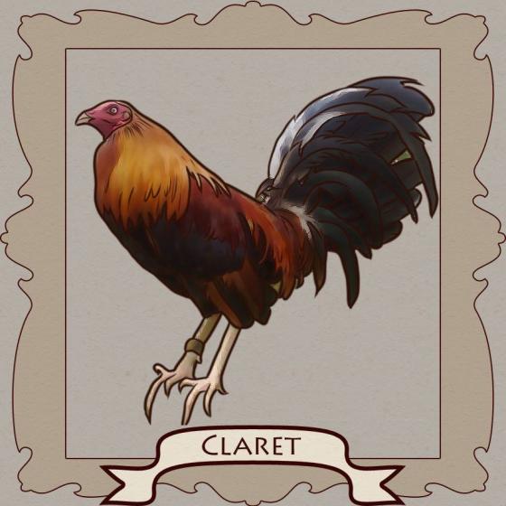 fighting cock for sale: The Clarets History