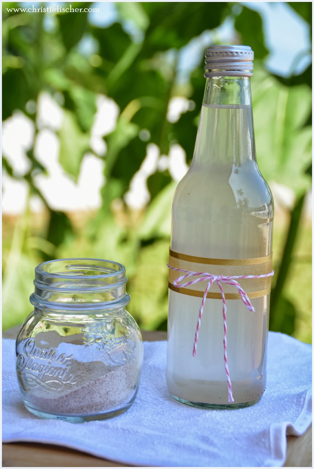 Christie Fischer : BEAUTY: Tooth Powder & Mouth Rinse