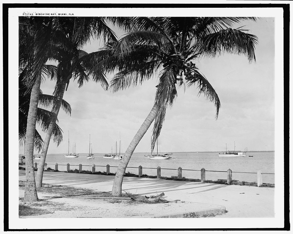 Miami Archives - Tracing the rich history of Miami, Miami Beach and the ...