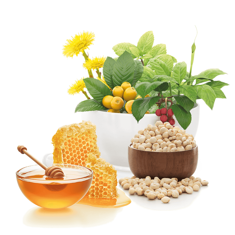 OBIDA : Solusi Cerdas Hadapi Resolusi 2018 - Arief Jefi Kurniawan