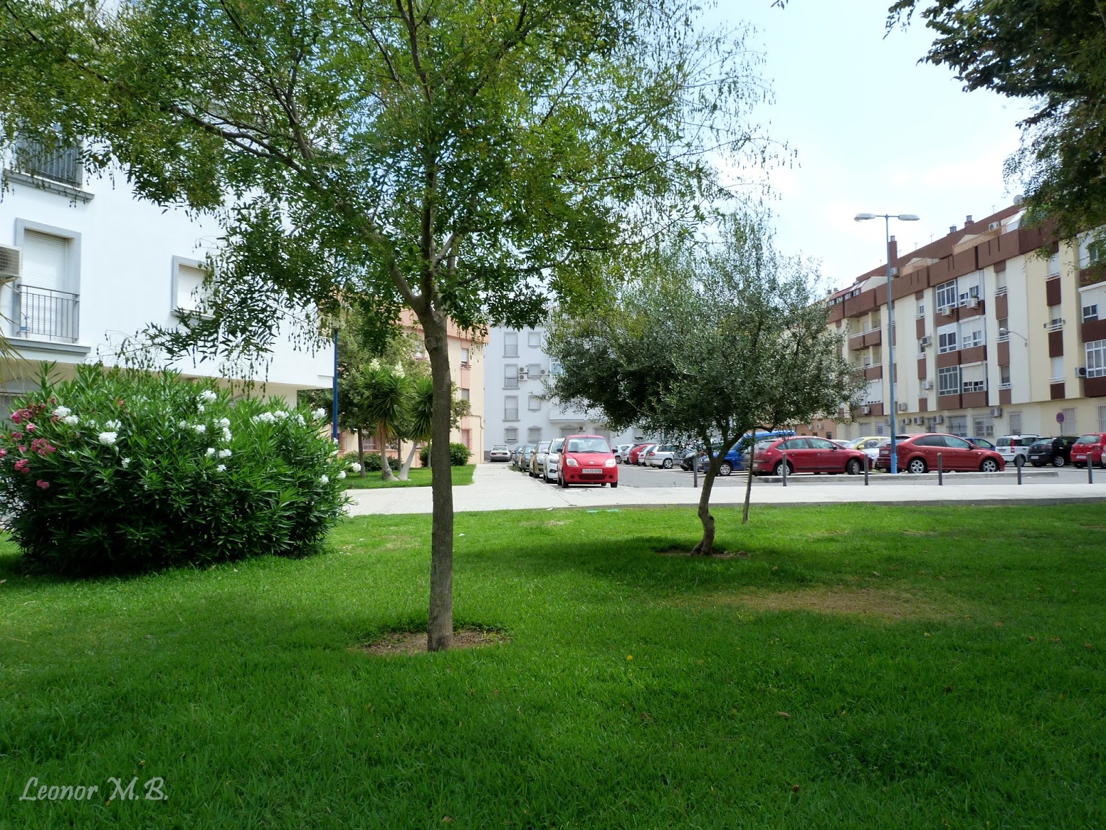SAN FERNANDO. Ayer y hoy...y otras historias.: CALLE PATIO DE LA ...