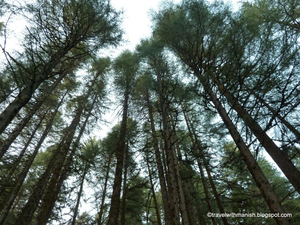 मुसाफ़िर हूँ यारो... ( Musafir Hoon Yaaro ...): कानाताल की वो खूबसूरत ...