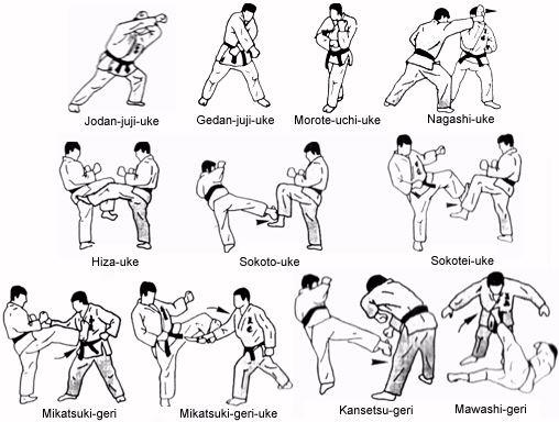 JKA NIKKEY ASSOCIACAO ARAPONGUENSE: Posições - Dachi e Golpes (Tecnicas ...