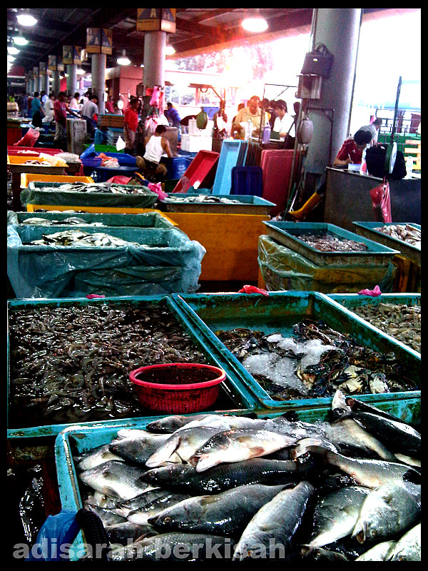 adisarah berkisah: Merenung mata ke mata jerung Terumbu Australia