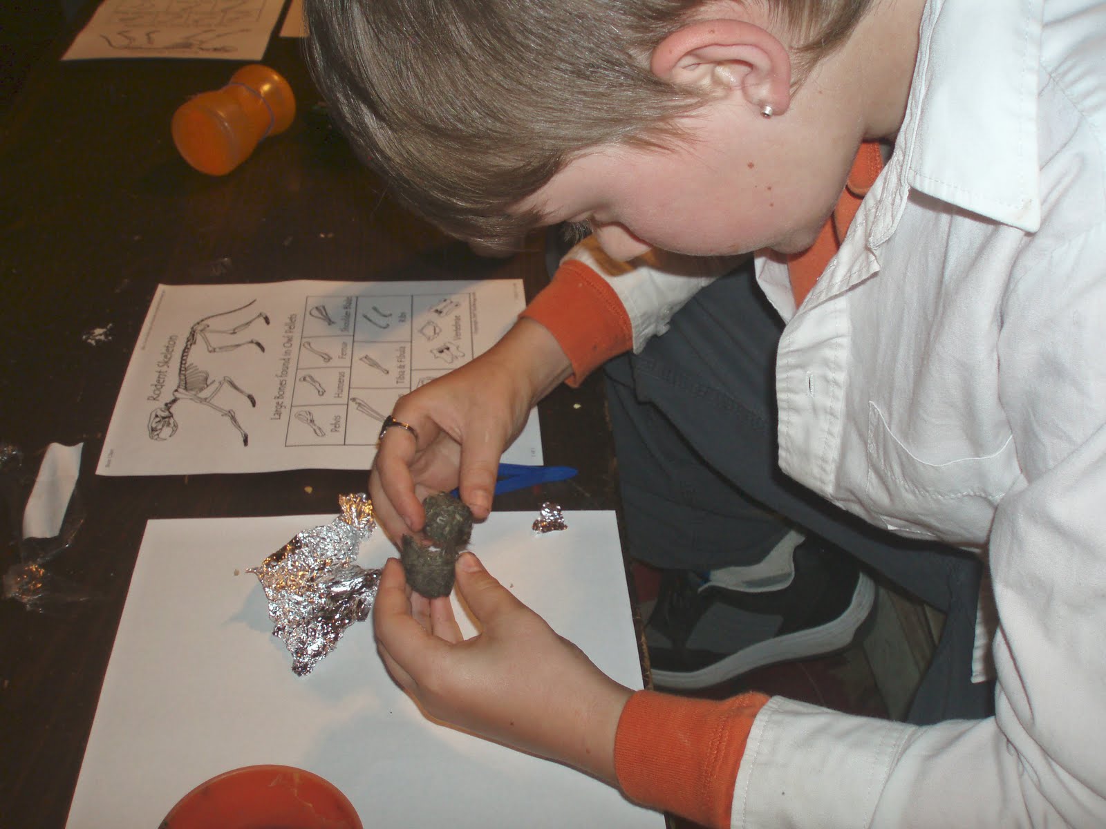 Our Small Corner: Fairy Houses and Owl Pellets...