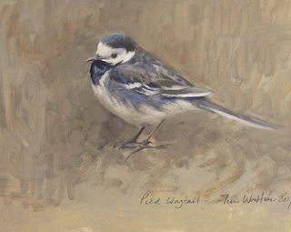 Tim Wootton Wildlife Art