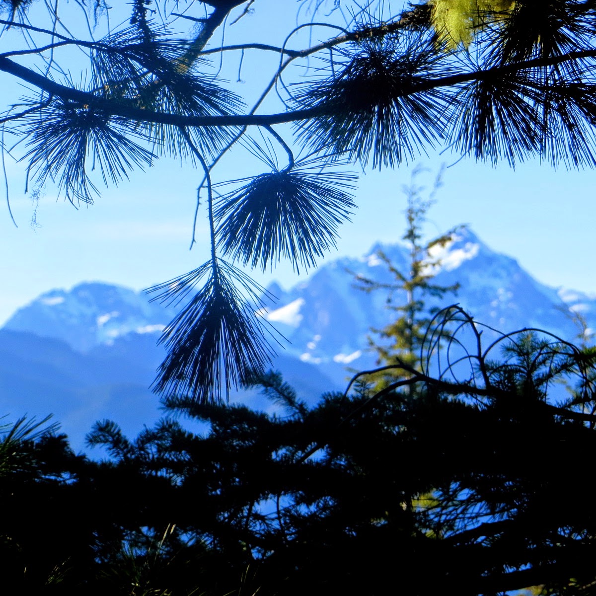 Three BCs and .....: Mount Mother F'er