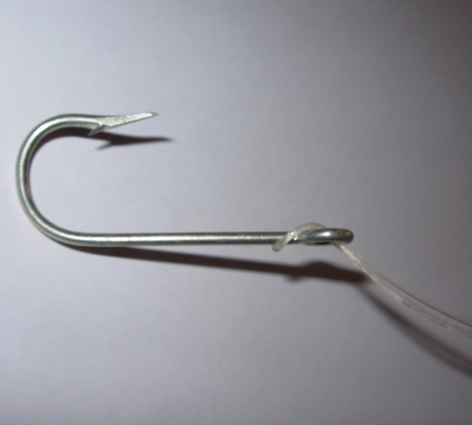 "Wild line fishing" for conger and moray eel ~ Ocean Bounty