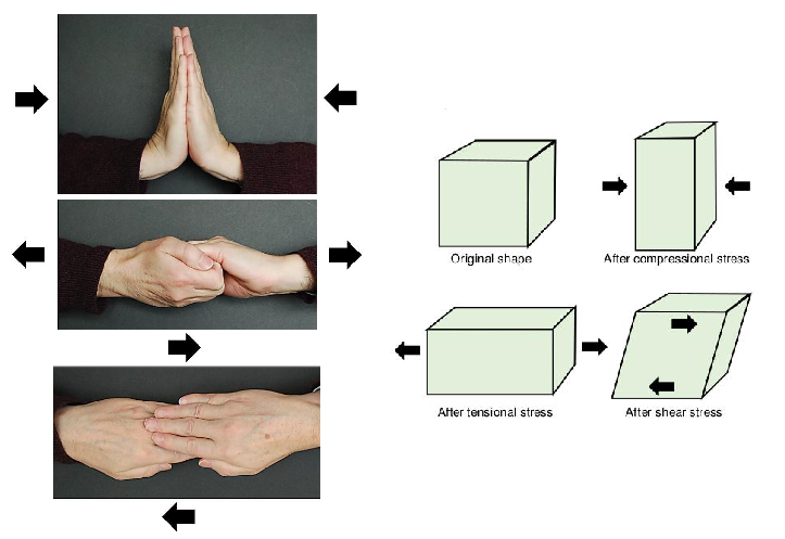 Earth Learning Idea: Hand modelling of compression, tension and shear ...
