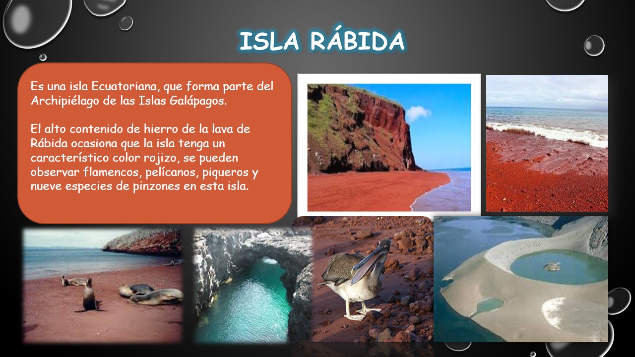 EL TURISMO EN EL ECUADOR : Región Insular o Galapagos, Cuarta Semana