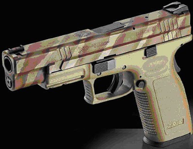 SPRINGFIELD ~ SENJATA API