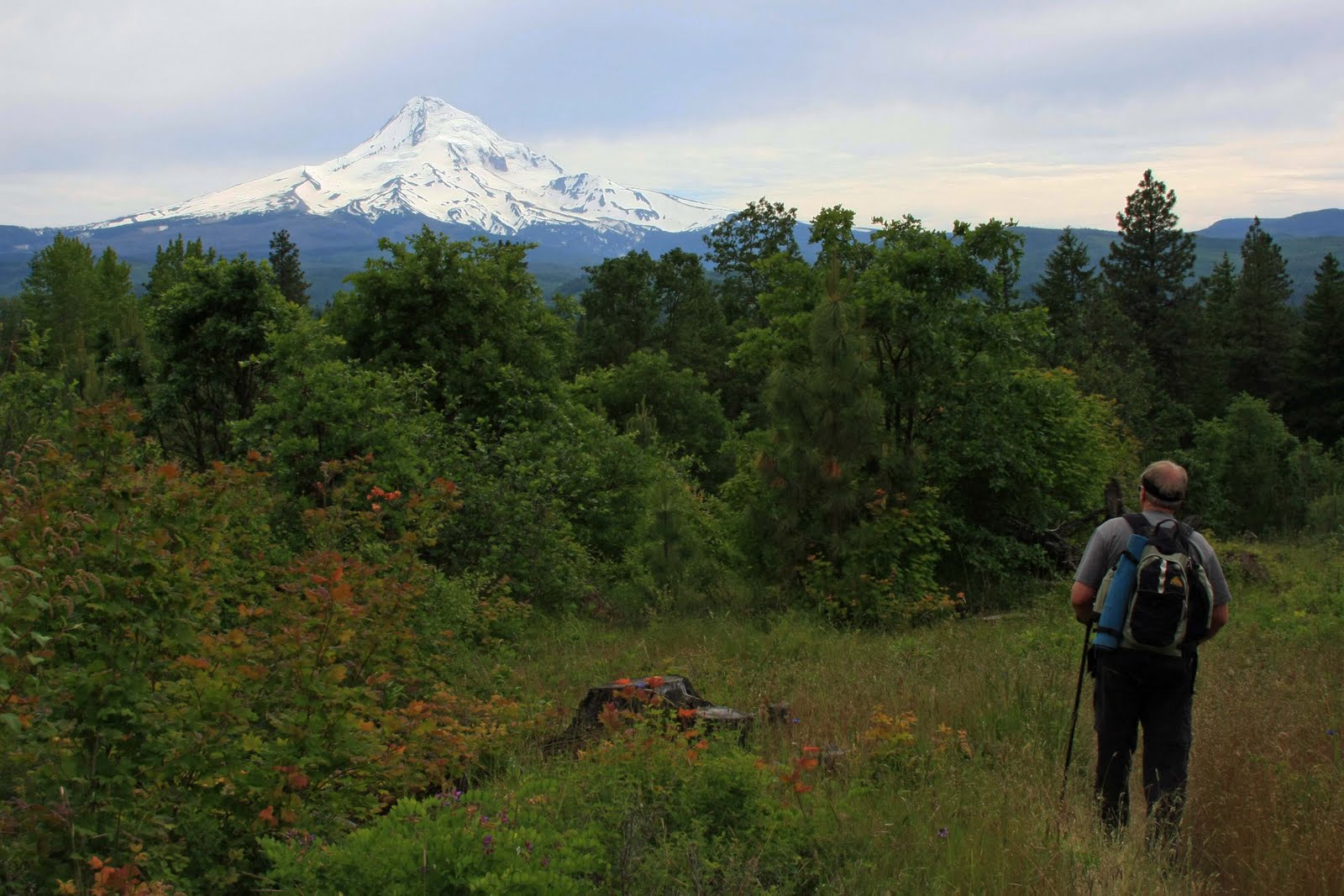Linda's Lens: Bald Butte