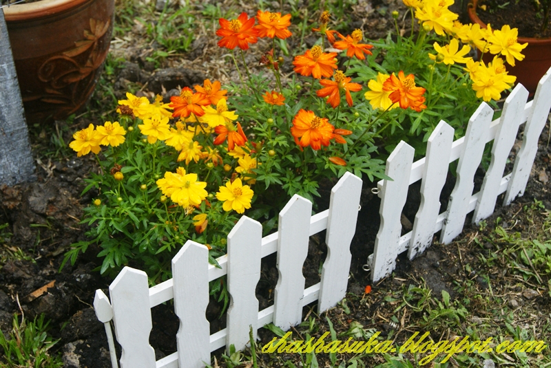 HoBi & KoleKsikU...: Taman Bunga Mini DIY (1)