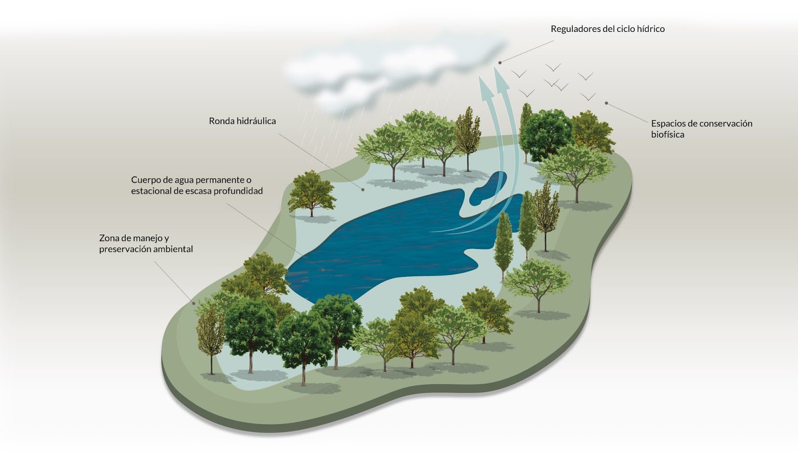 Humedal Tibanica: 2018