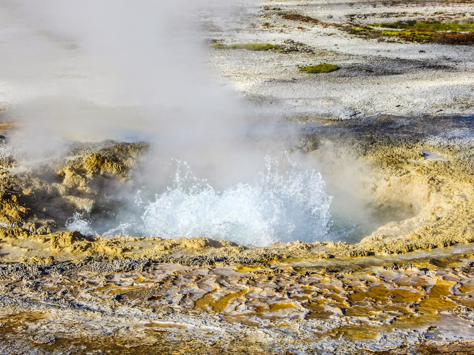 Walking Arizona: A Burst of Steam