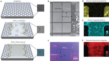 Scientists Grow Atomically Thin Transistors and Circuits ...