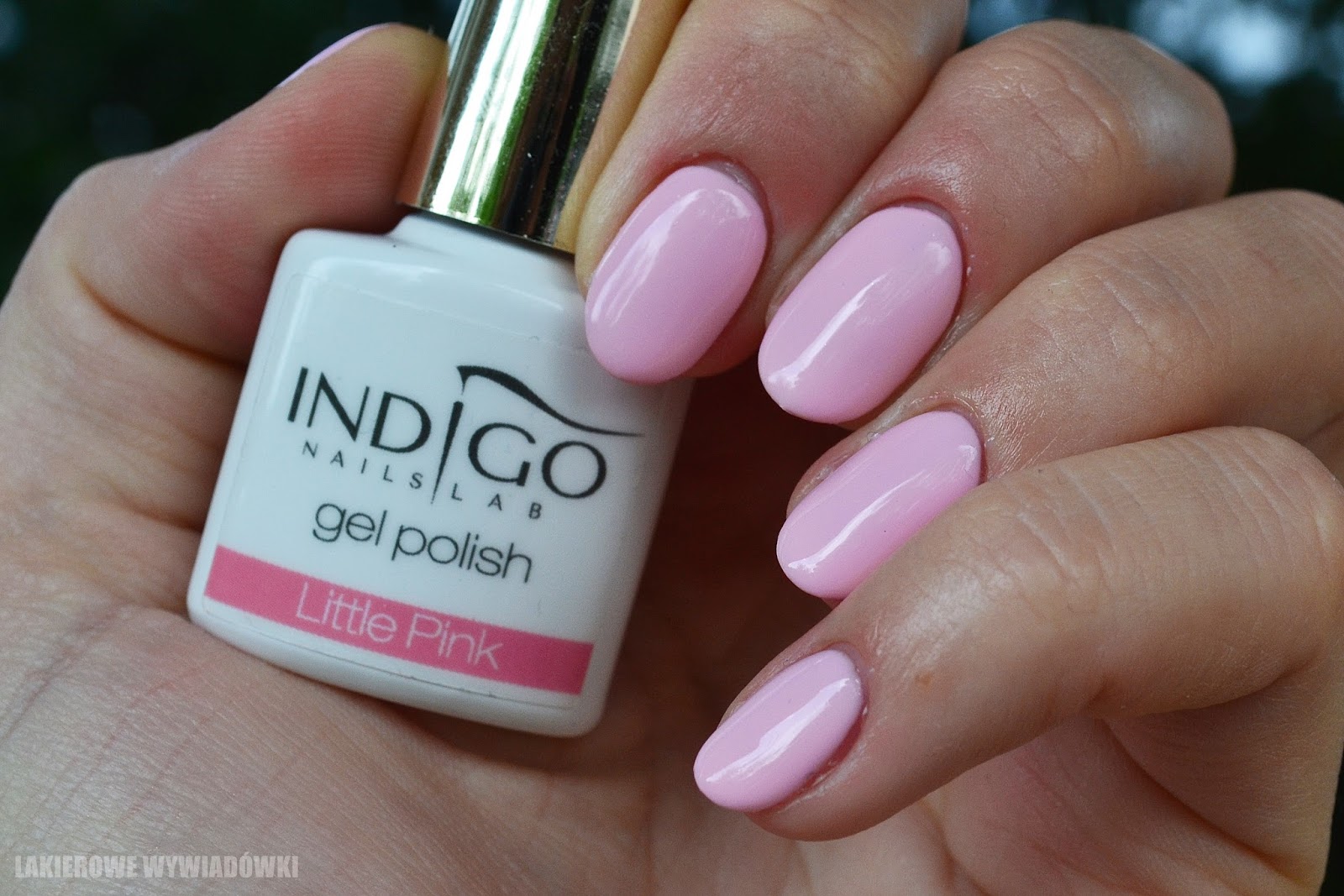 lakierowe wywiadówki: Indigo Nails gel polish - Little Pink