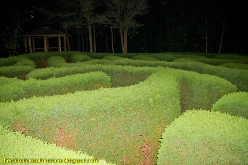 Manjanggul Cave and Gimnyeong Maze Park, Jeju - Day 12 in South Korea ...