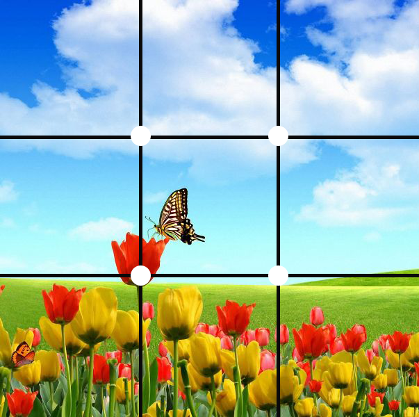 Teoria_de_la_imagen_Anderson_Castro