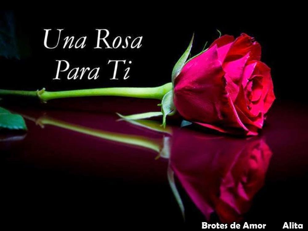 Brotes de Amor: Para ti