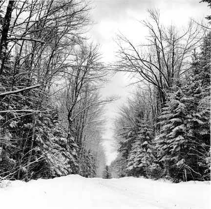 Geras Tousignant Gallery: James Scott Geras' Whitefield Collection