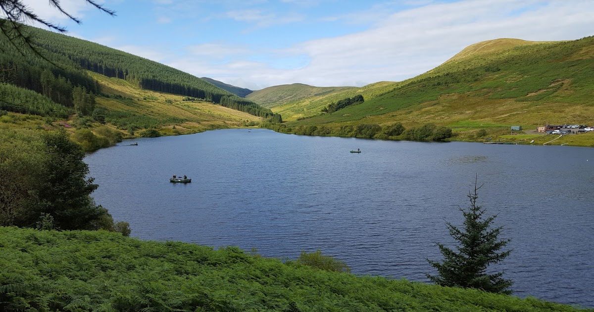 Neil's Hillwalking Exploits: Ben Shee (Ochils)