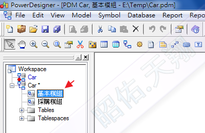 昭佑.天翔: PowerDesigner 將分散式 PDM 的 Table 共享