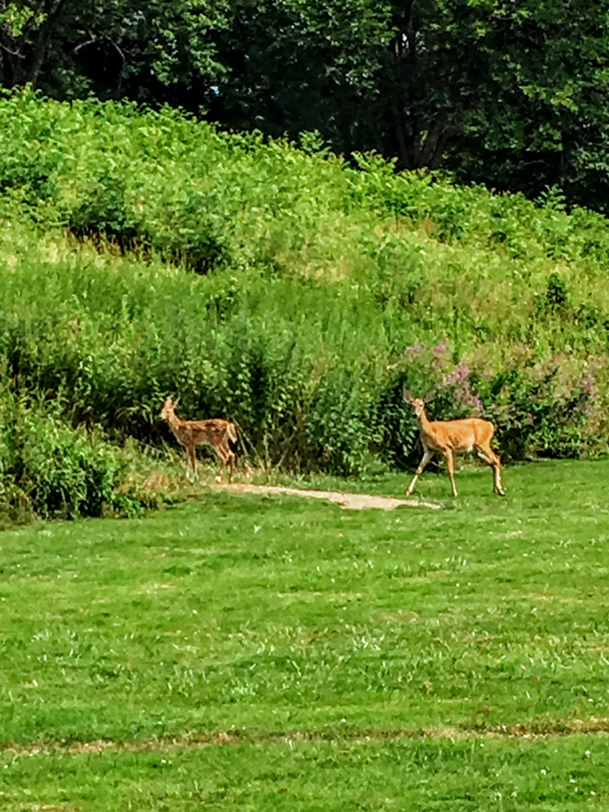 Preppy Mountain Farmhouse