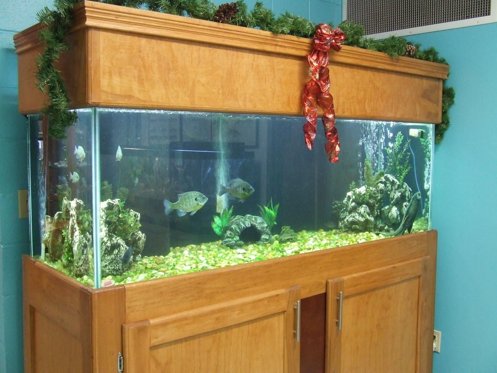 DarkeJournal.com: Beautiful Aquarium Gifted to Darke County Parks