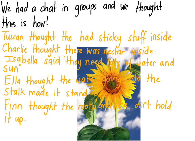 Room 8 Daily Meeting Room 8 Daily Meeting