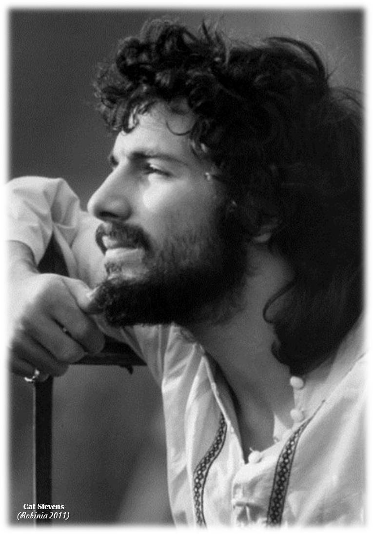 Cat Stevens | Cat stevens, Music love, Music artists
