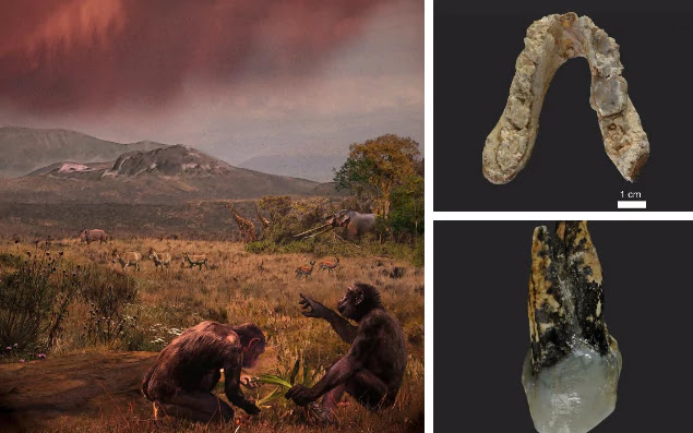 Europe was the birthplace of mankind, not Africa, scientists find ...