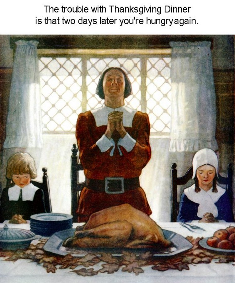 Chuck's Fun Page 2: Thirty memes, quotes and cartoons for the American ...