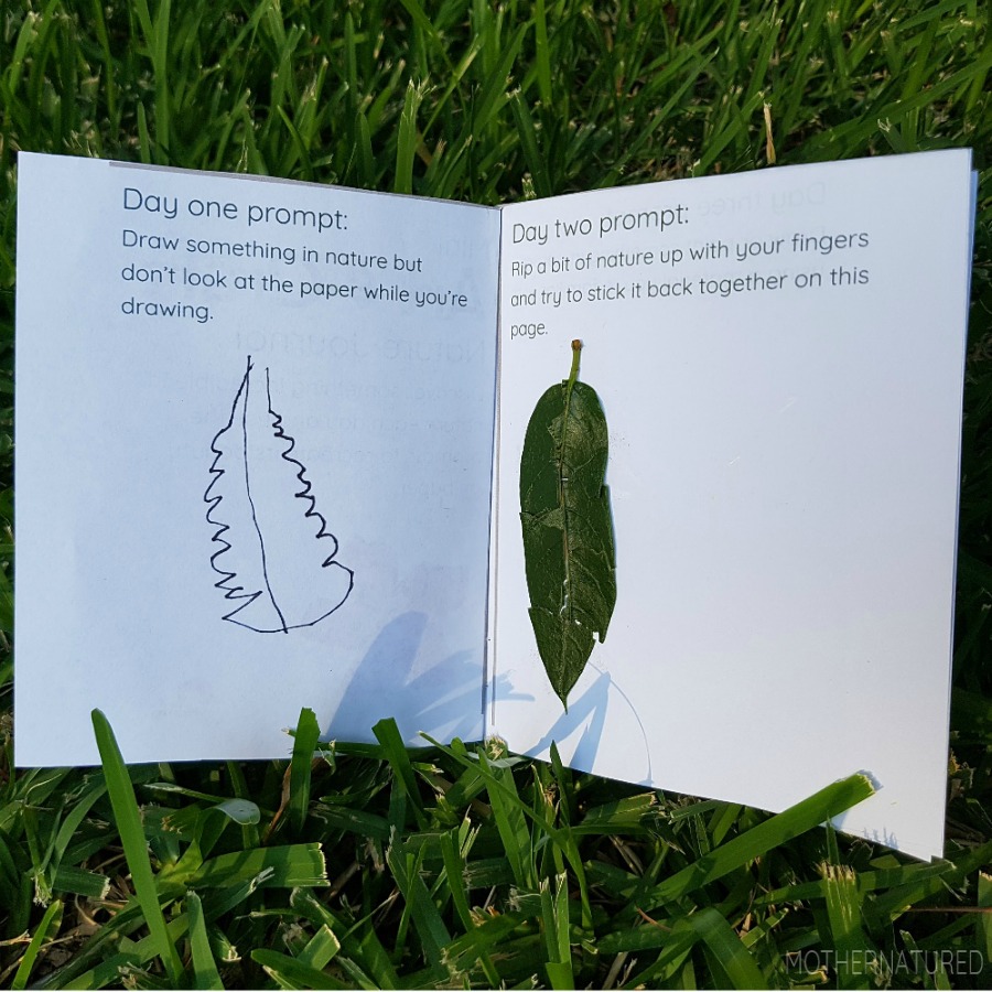 Share it! Science : Using Nature Arts and Crafts to Inspire STEAM Learning