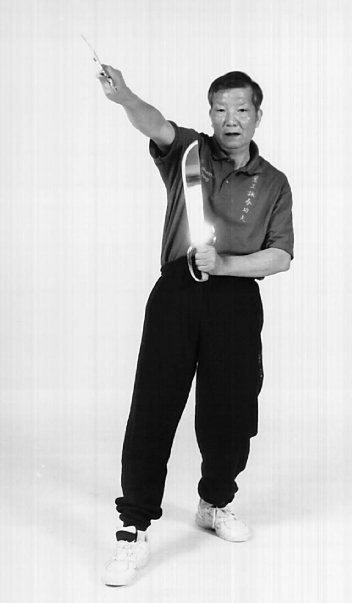 Passion Wing Chun: Ip Ching