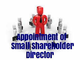 Resolution for Appointment of Small Shareholder Director