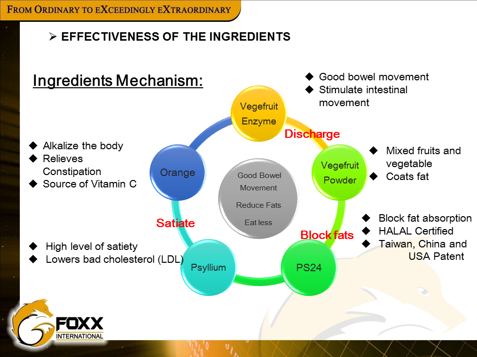 GFOXX International: Products