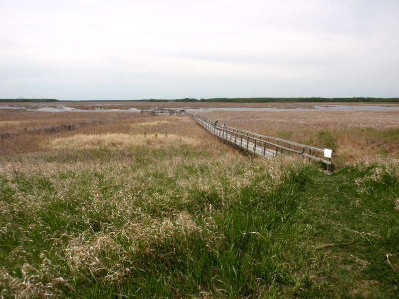 Take a Hike: Moosehorn Weekend