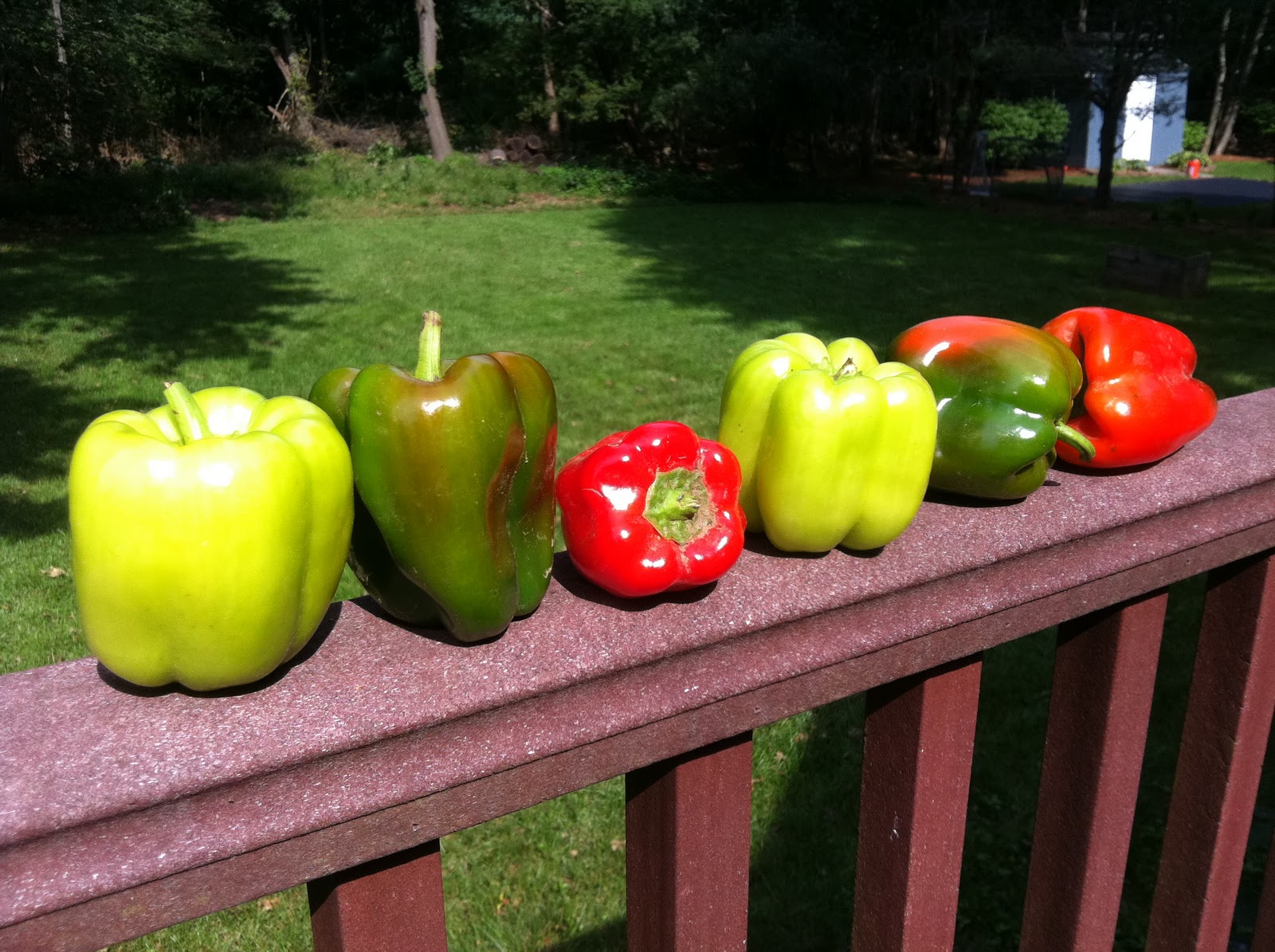 Food & Pottery: Local Food and how it commingles with handmade pottery