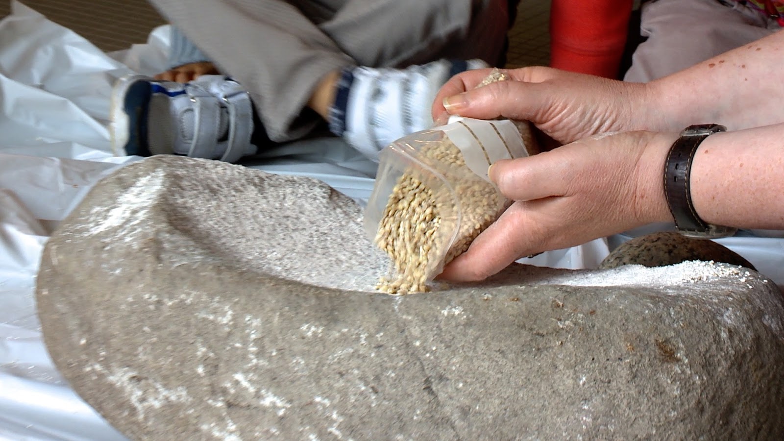 Ancient Food and Farming: Heritage Week 2016: food in Iron Age Ireland